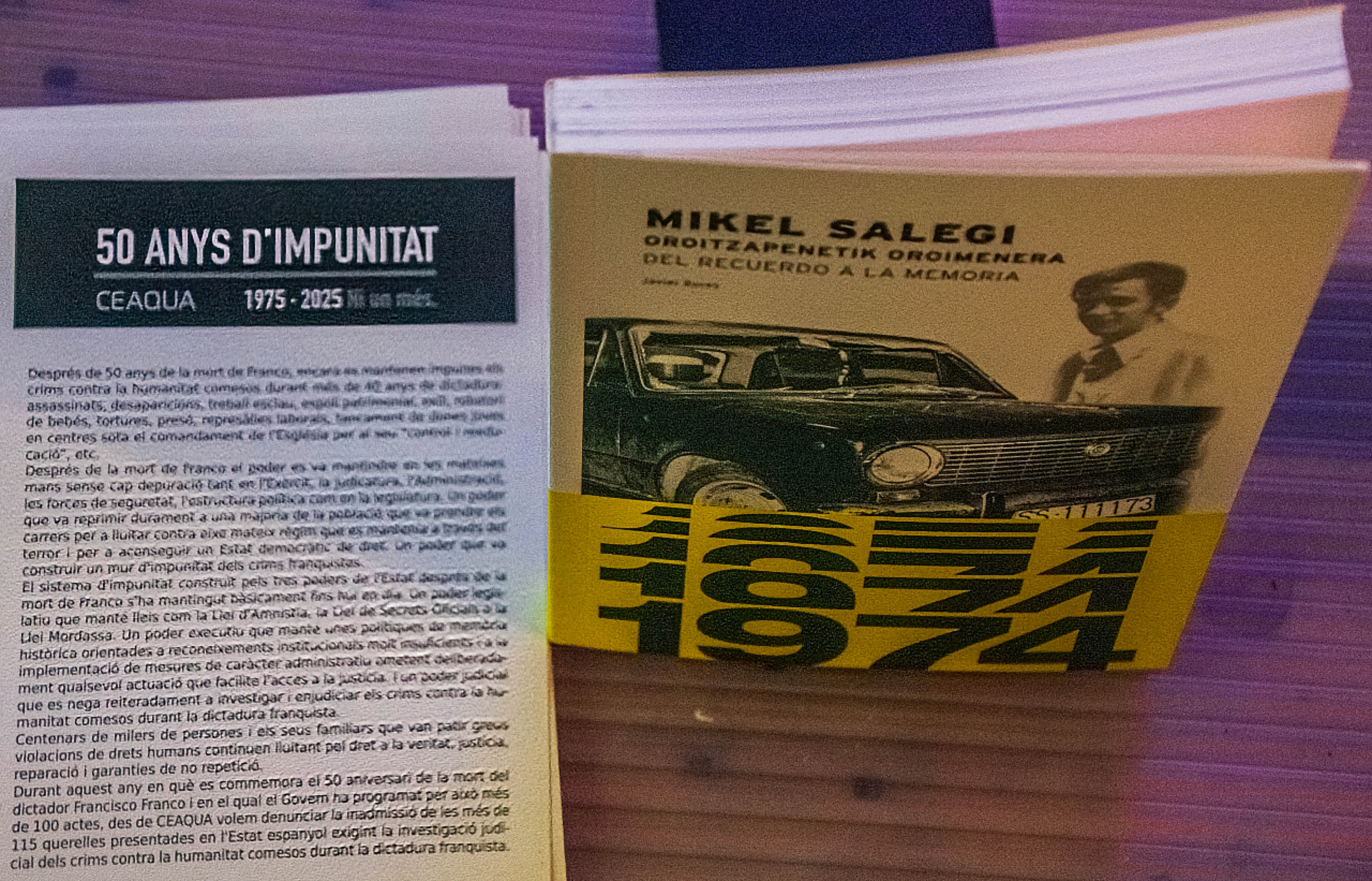 Mikel Salegi del record a la memòria | Memòria i justícia. Acció ...